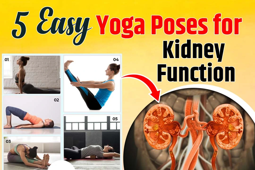 5 Easy Yoga Poses for kidney function | Kidneyxpert