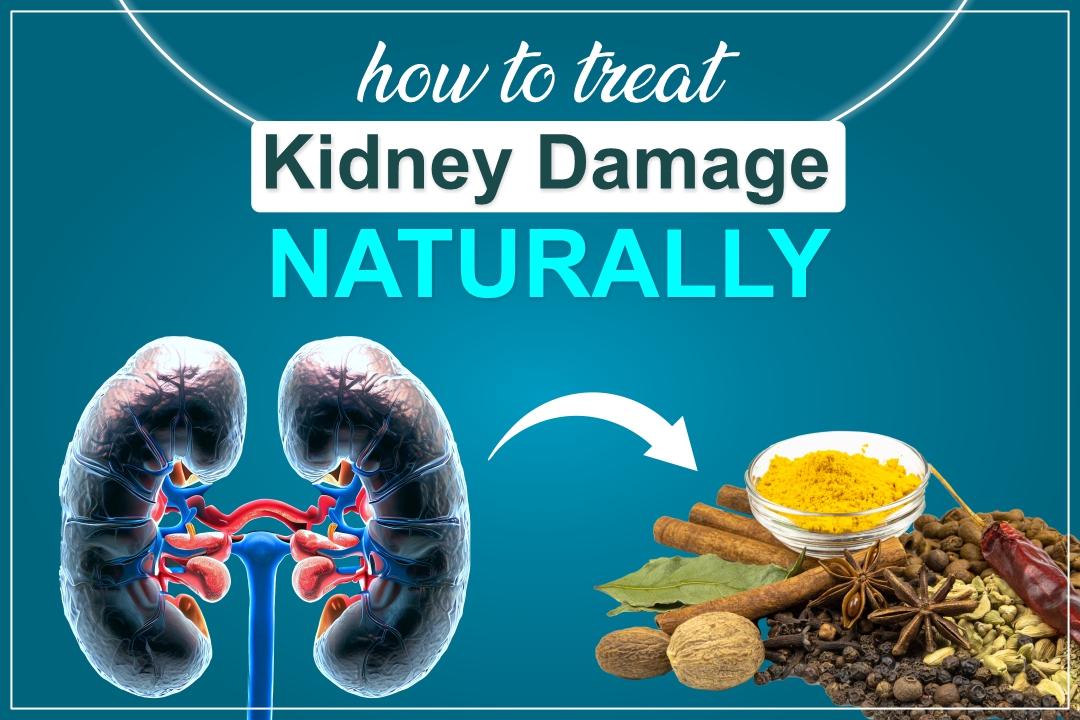 How to Treat Kidney Damage Naturally? | Kidneyxpert