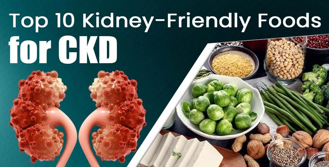 Top 10 Kidney-Friendly Foods for CKD | Renal Diet Guide 2025