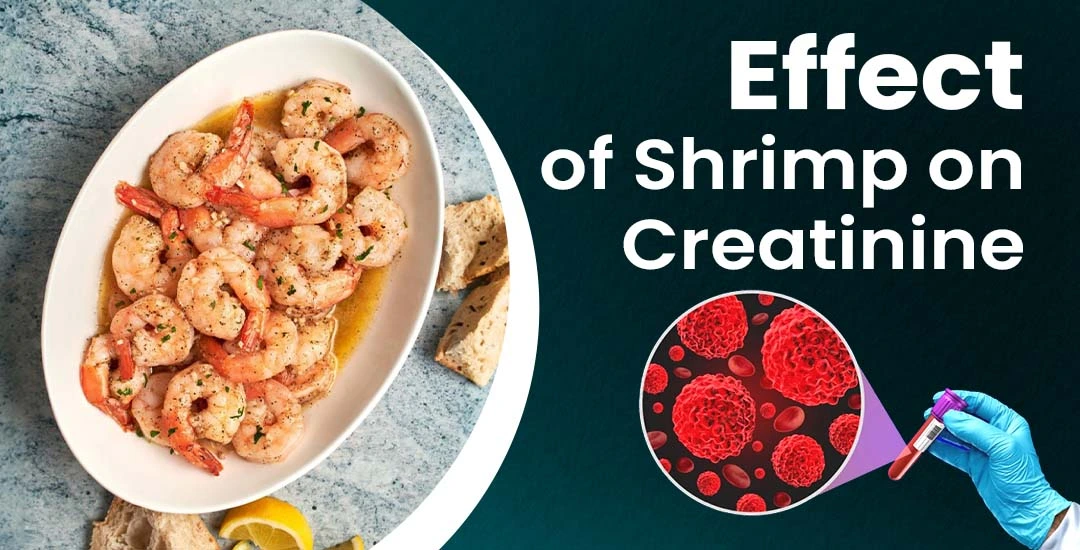 Is Shrimp Good for Kidneys? Expert Answer for CKD Patients