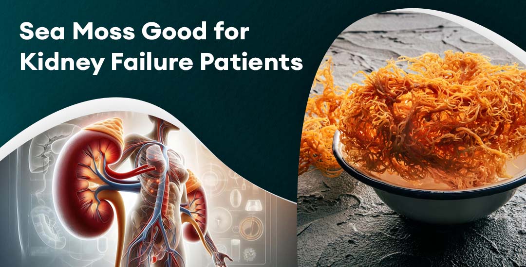 Is Sea Moss Safe for Kidney Failure Patients? Benefits, Risks & Warnings